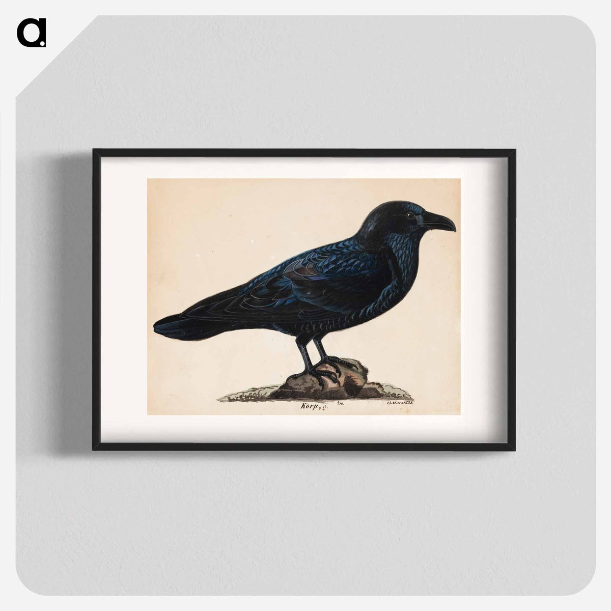 Wilhelm von Wright - Raven - Wilhelm von Wright Poster. - artgraph. [A ...