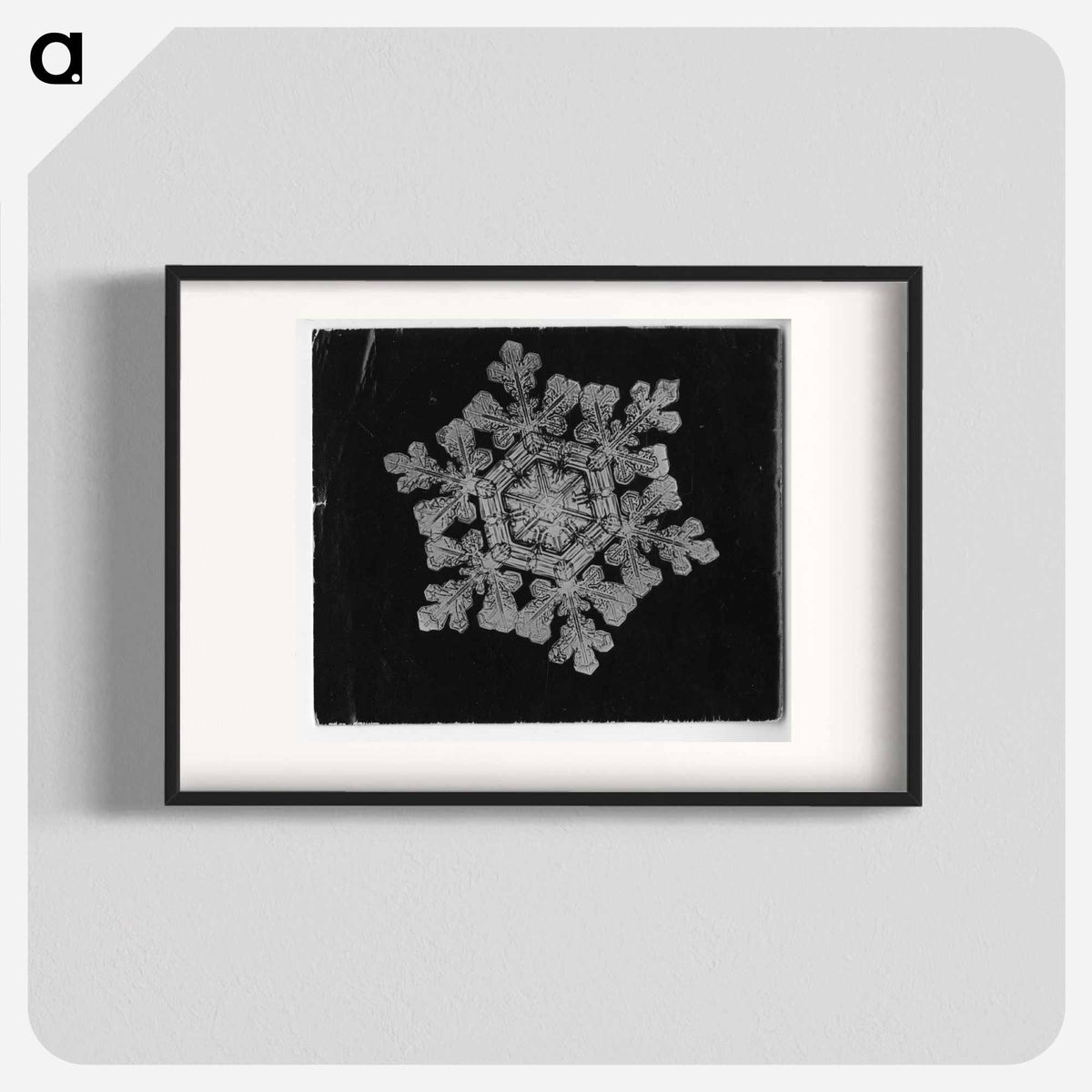 Wilson Bentley(ウィルソン ベントレー)のWilson Bentley Photomicrograph of Dendrite ...