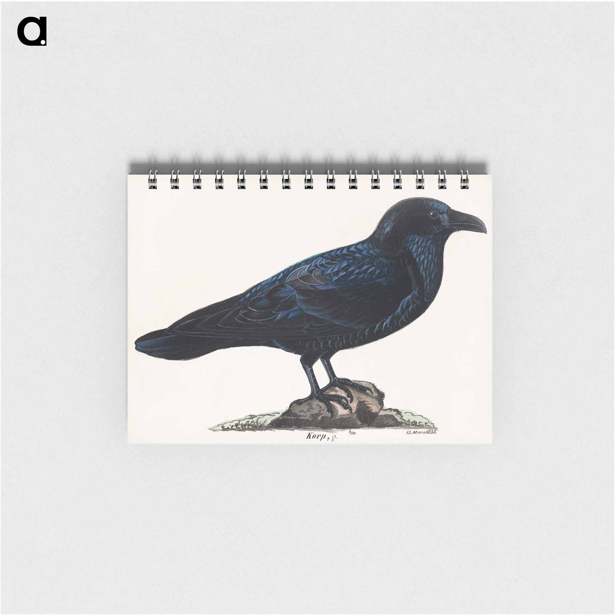 Wilhelm von Wright(ヴィルヘルム フォン ライト)のRaven - ヴィルヘルム フォン ライト Memo ...