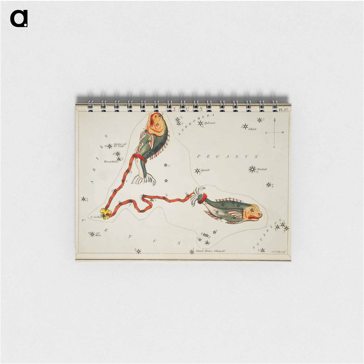 Sidney Hall’s astronomical chart illustration of the Pisces - アンティーク地図 ...