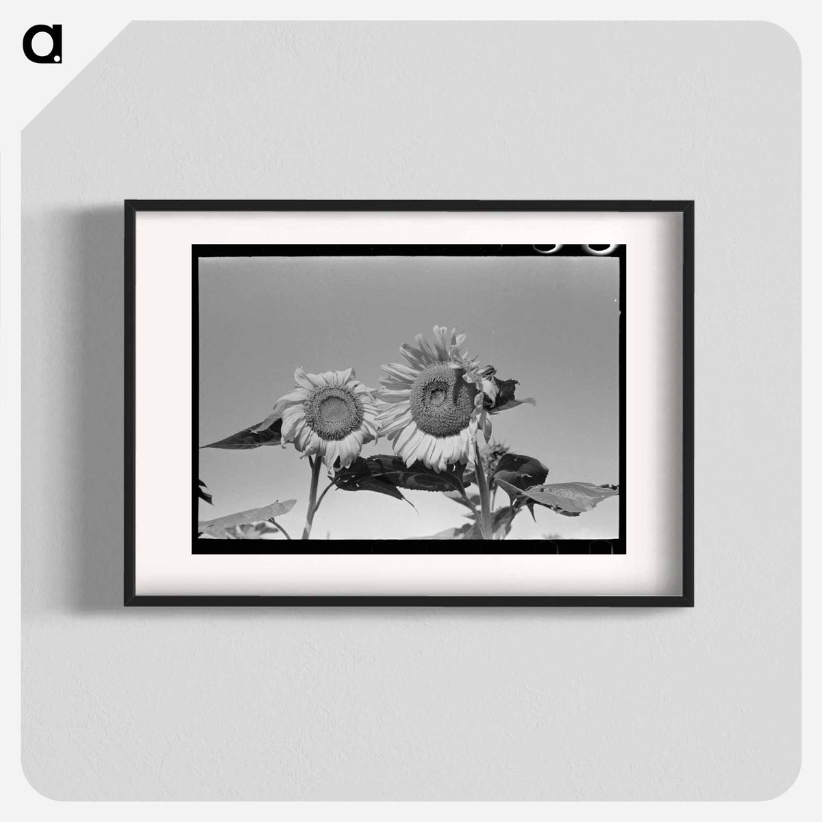 Sunflower Field, Southeast Missouri - ラッセル リー Poster. – artgraph.