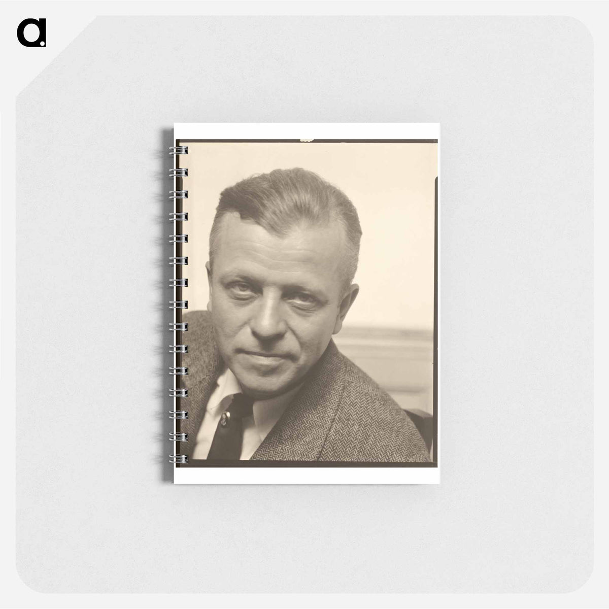 Alfred Stieglitz(アルフレッド スティーグリッツ)のArthur G. Dove - アルフレッド スティーグリッツ Memo ...