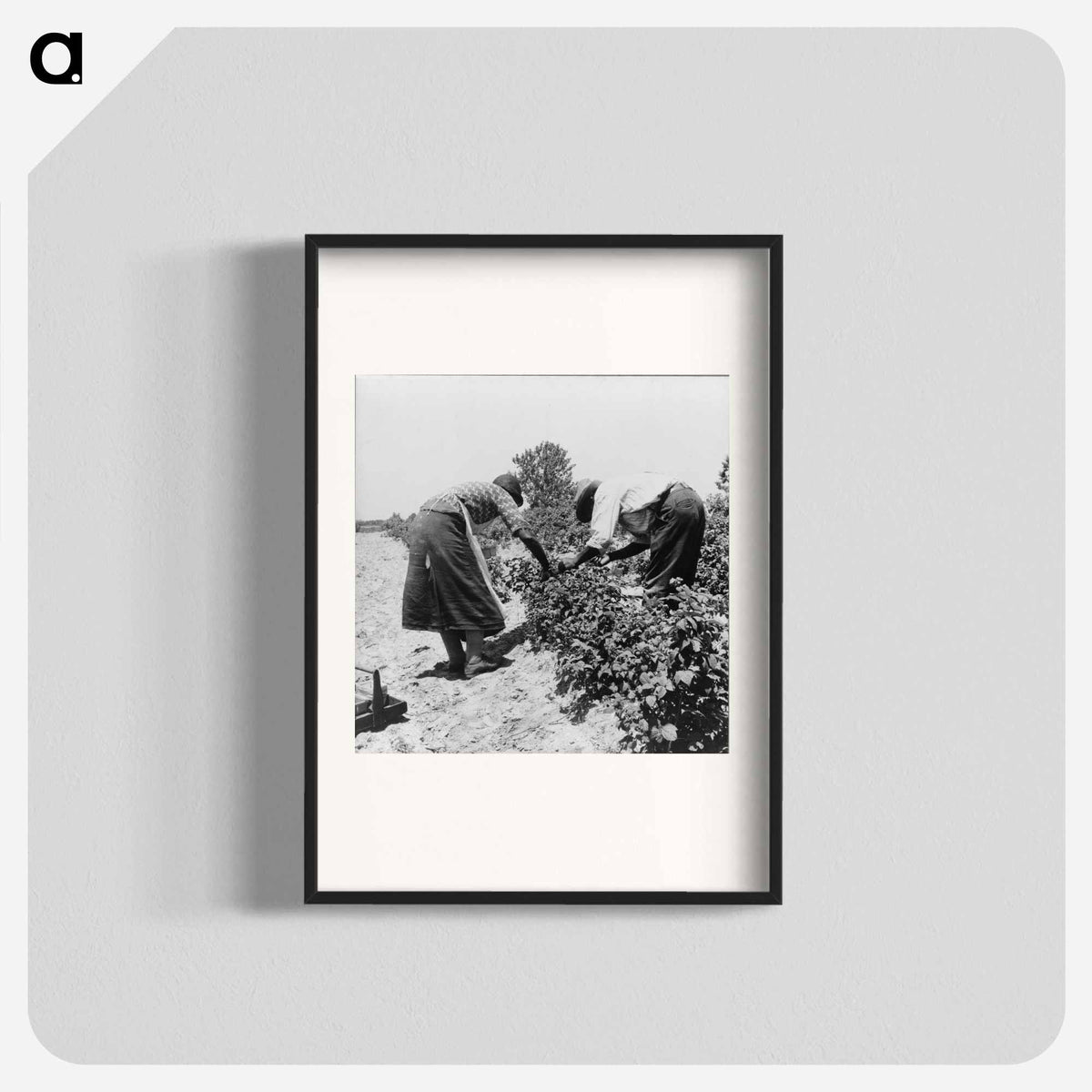 Dorothea Lange - Berry pickers - Dorothea Lange Poster. - artgraph. [A ...