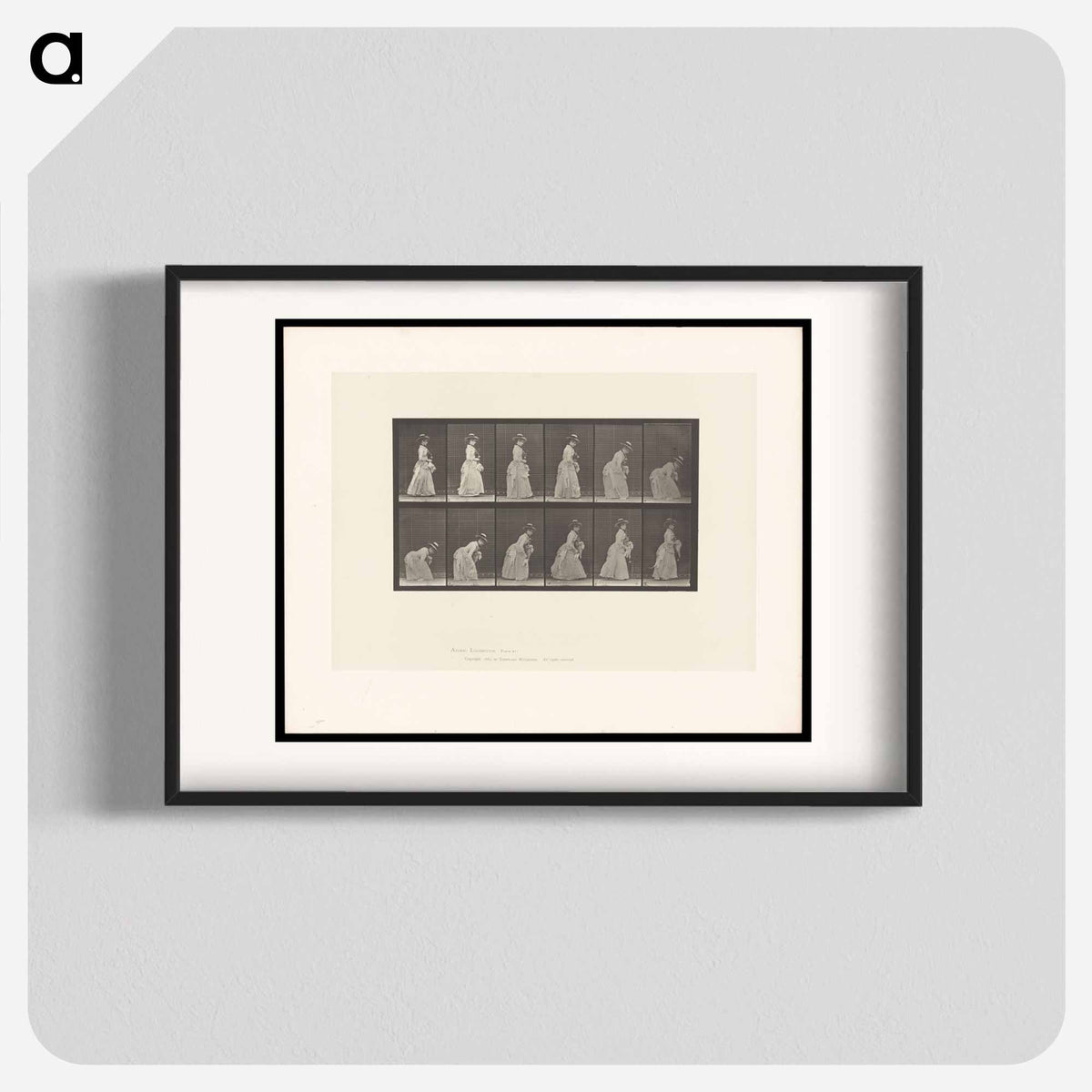 The Dropped Handkerchief - エドワード マイブリッジ Poster. – artgraph.