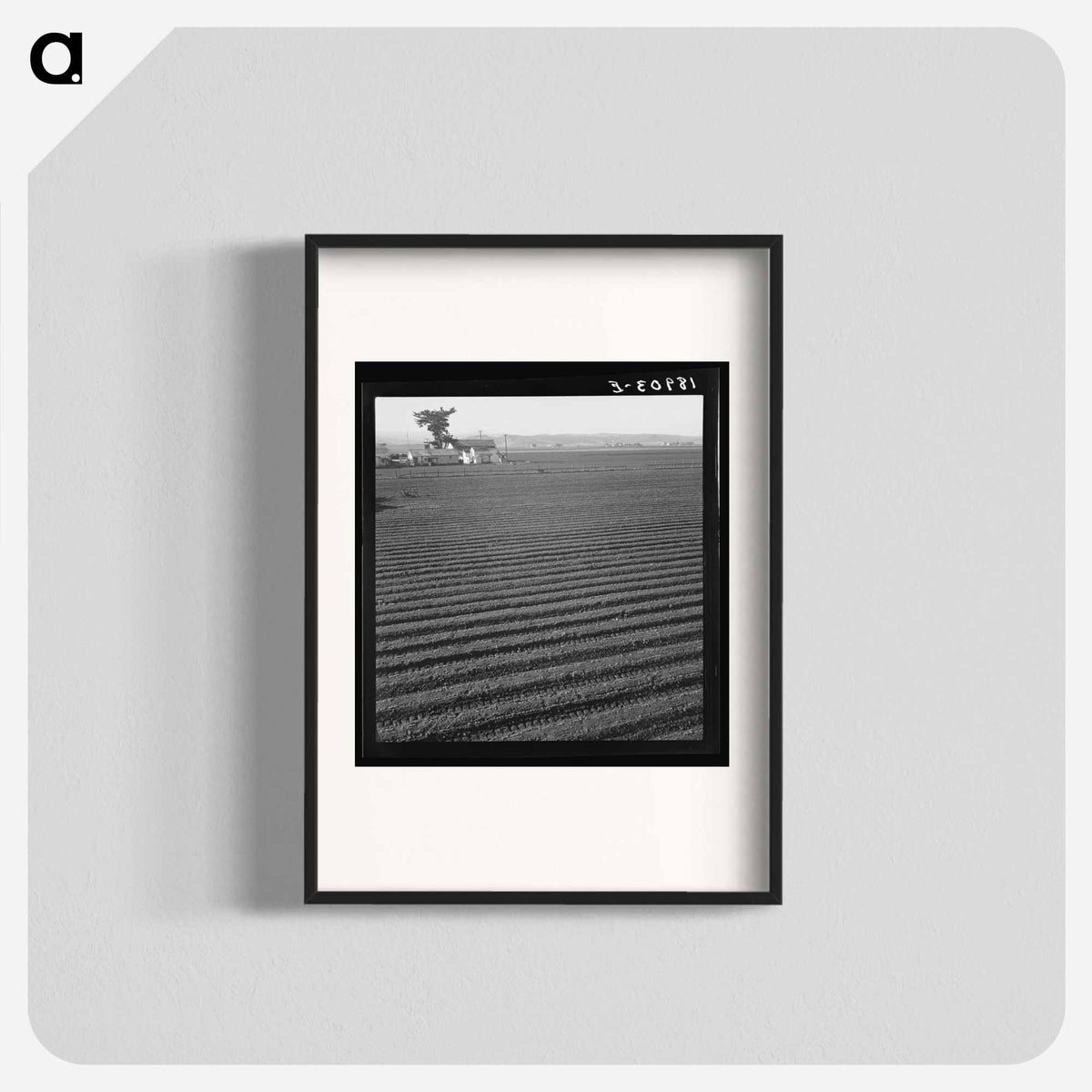 Dorothea Lange - Untitled photo - Dorothea Lange Poster. - artgraph. [A ...