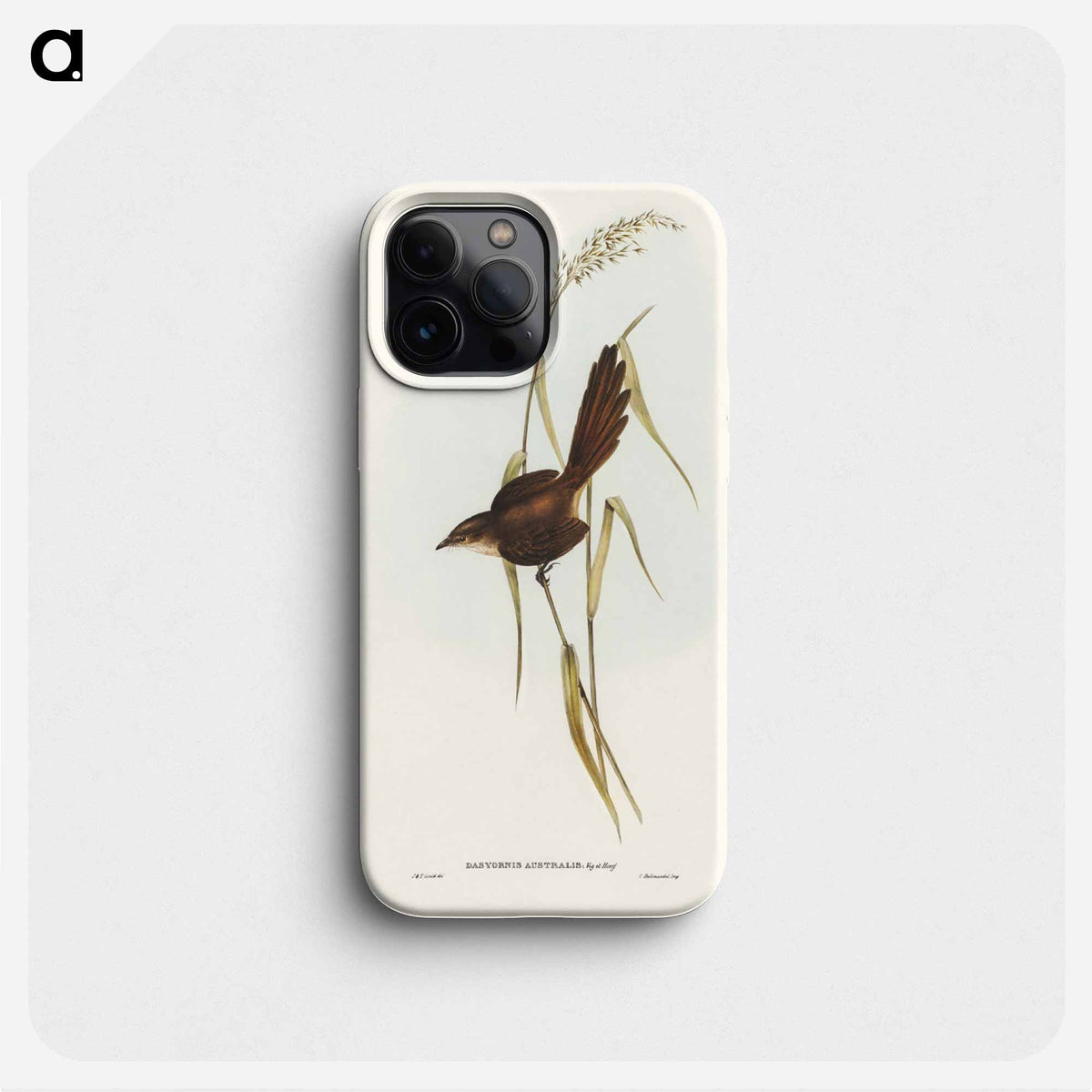 John Gould(ジョン グールド)のBristle Bird - ジョン グールド Phone Case. - artgraph ...