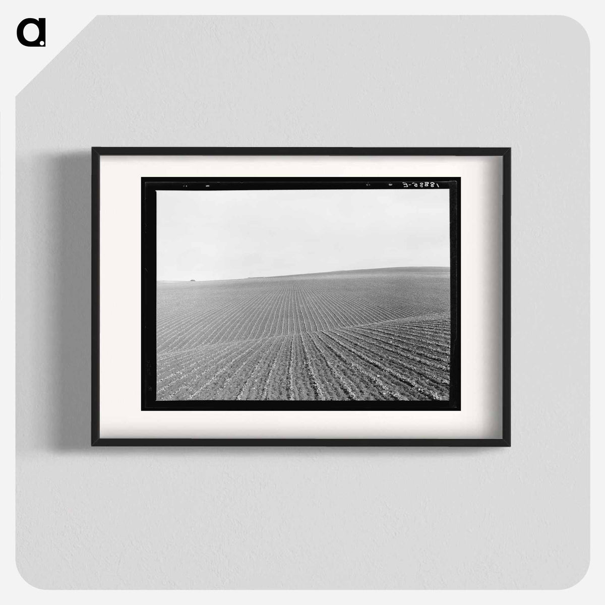 Dorothea Lange - Untitled photo - Dorothea Lange Poster. - artgraph. [A ...